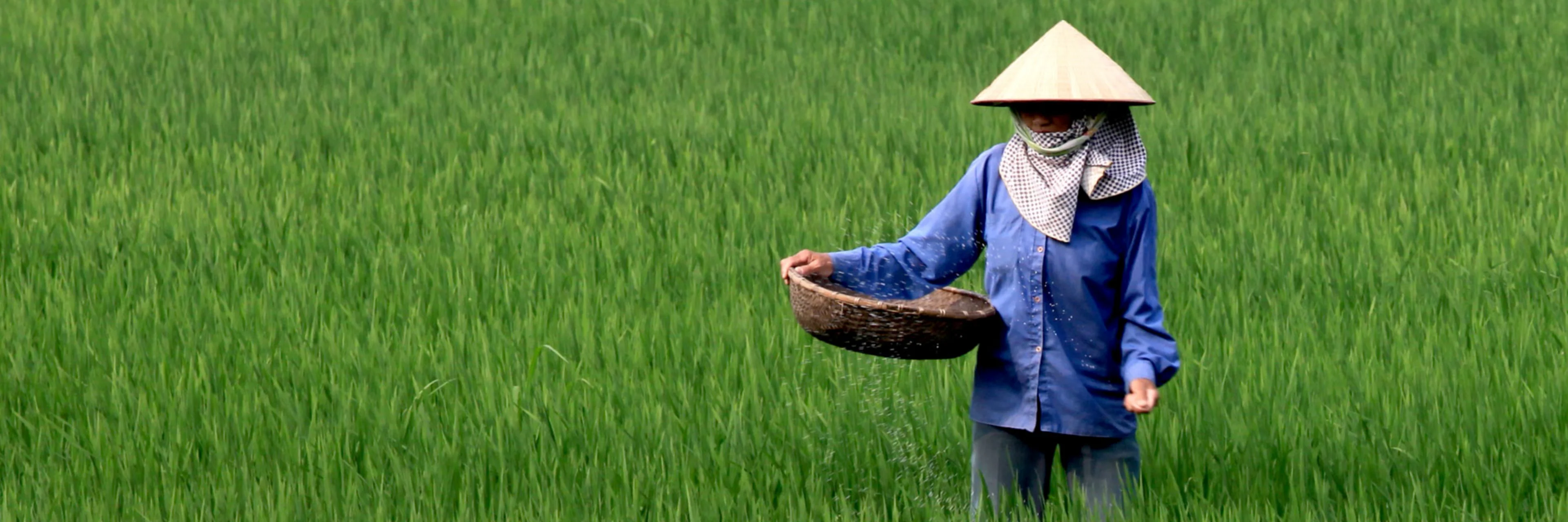 ILO | Training Programmes / Our.COOP